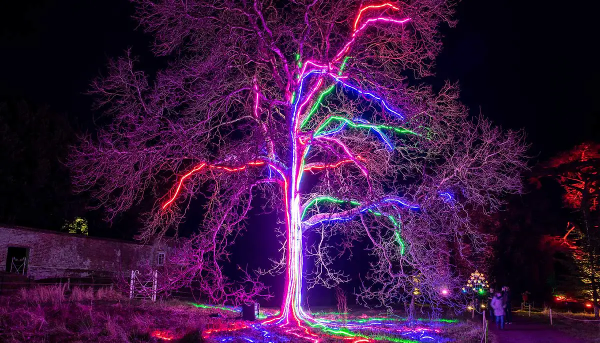 How to Add Sparkle Your Life With Rope Lights - Clicka Lights