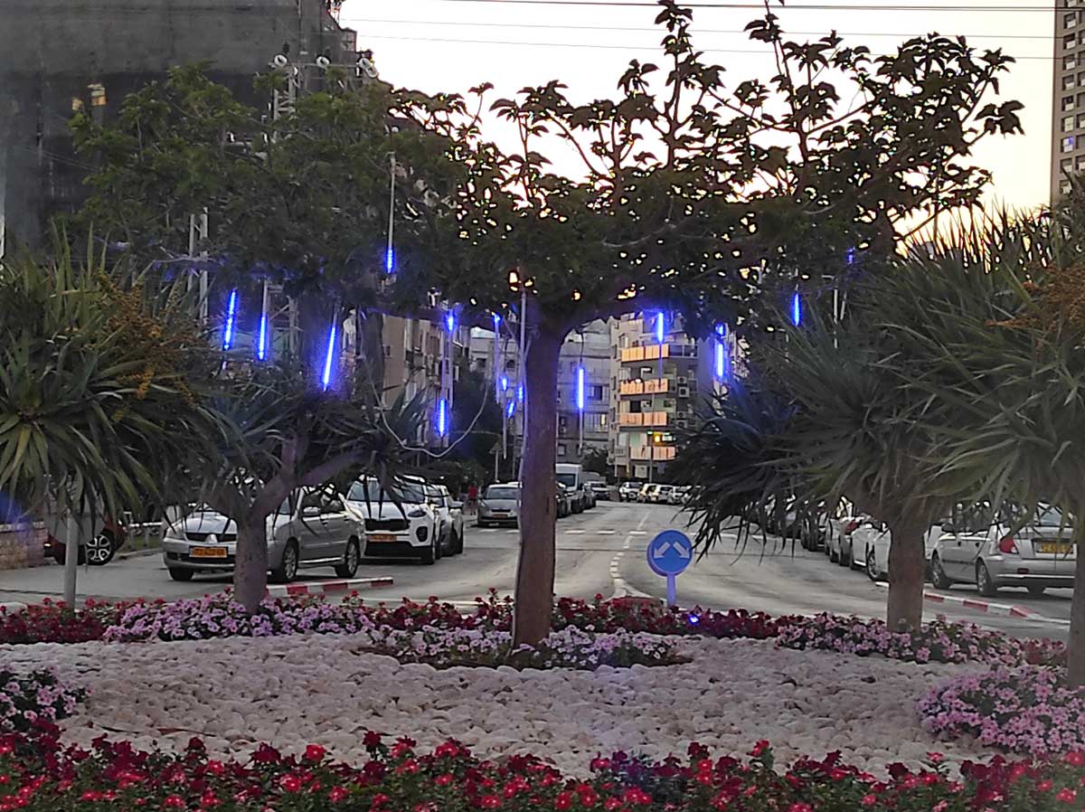 9 Best Ideas for Your Landscape Lighting Design - Clicka Lights