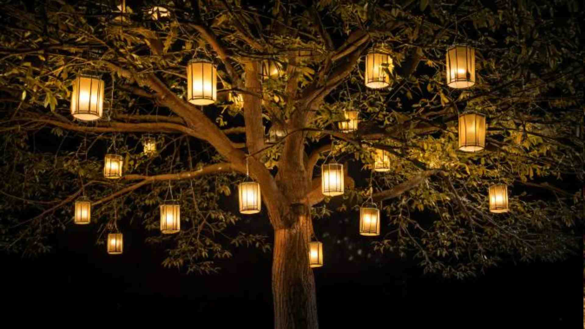 Illuminating Your Pathway: A Guide to Solar Driveway Lights - Clicka Lights