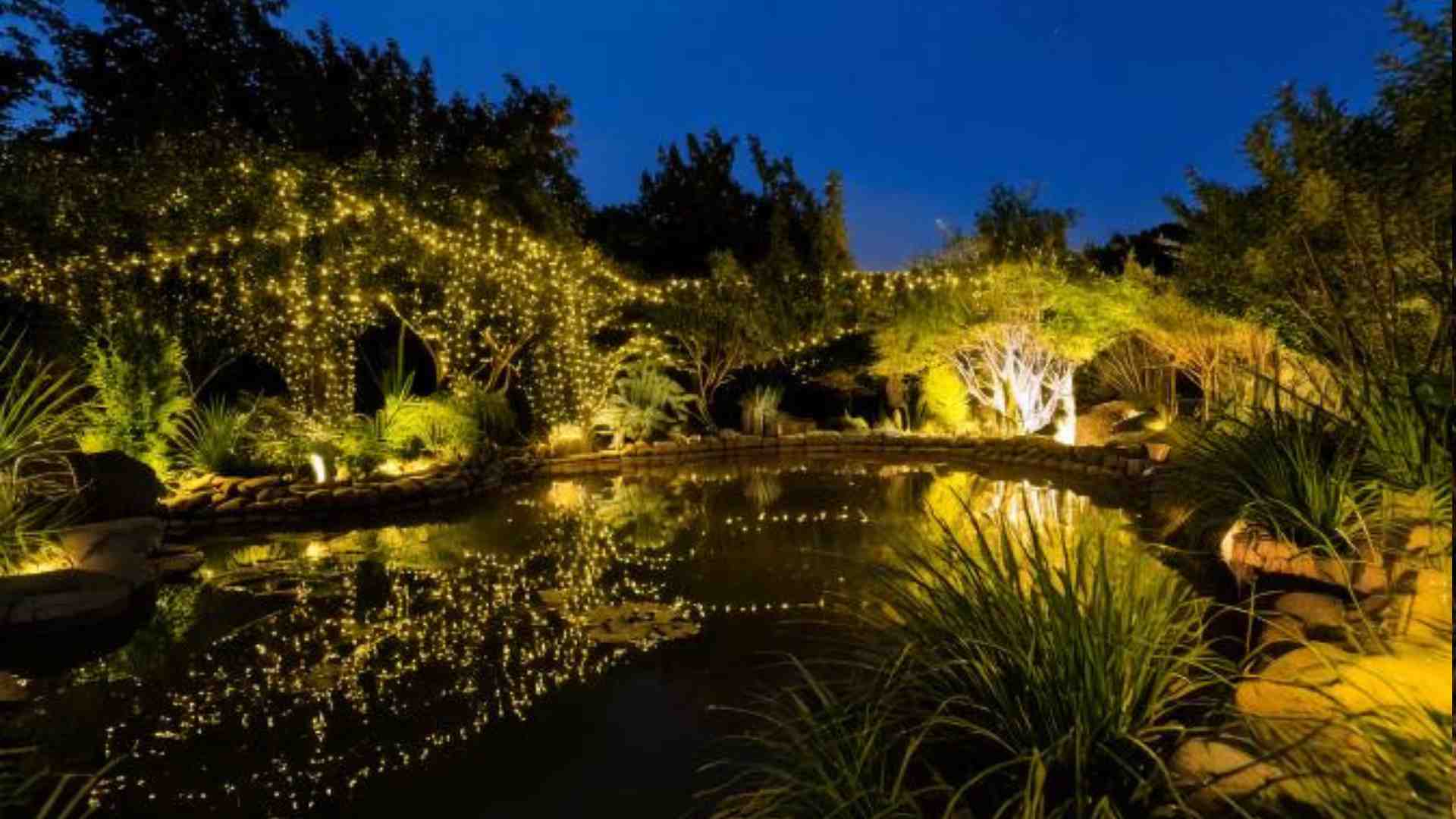 Landscape & Backyard Lights - Clicka Lights