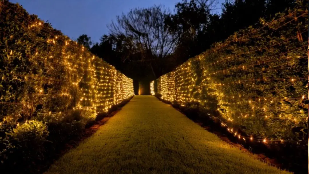 5 Must-Try Outdoor Lighting Ideas for Garden Hedges - Clicka Lights